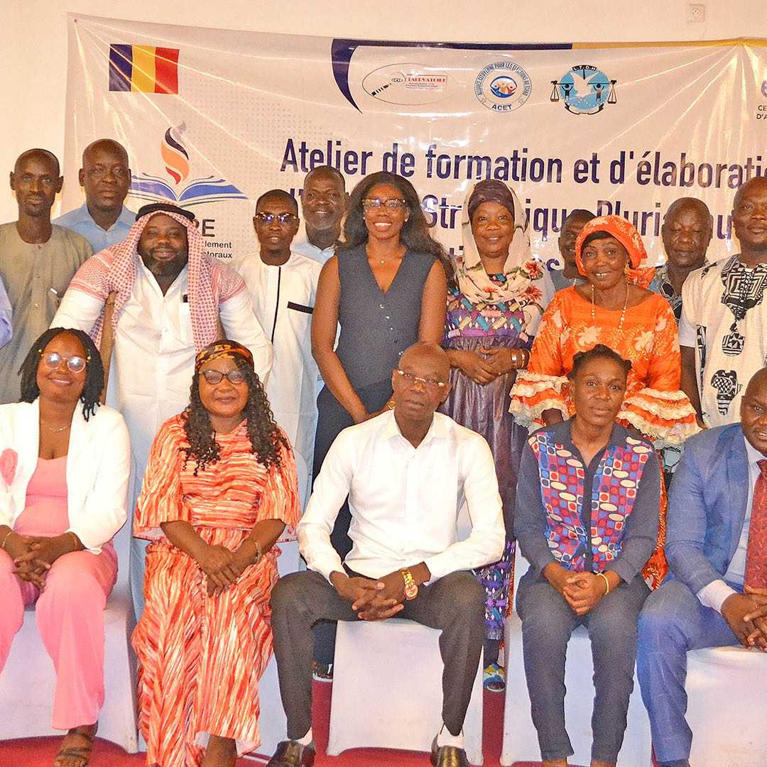 Formation pour renforcer les capacités des OSC | ECES | European Centre for Electoral Support